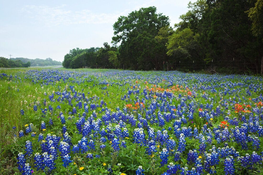 20+ Things to do in Brenham, Texas by a Local