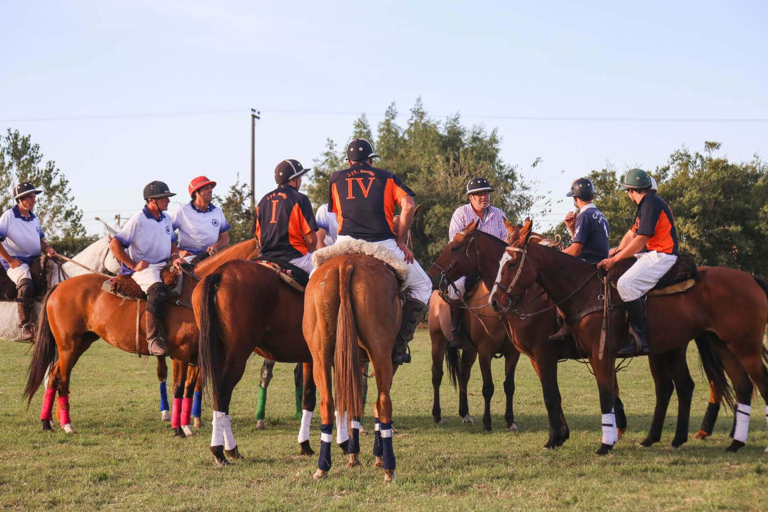 All About Pato: Argentina's National Sport