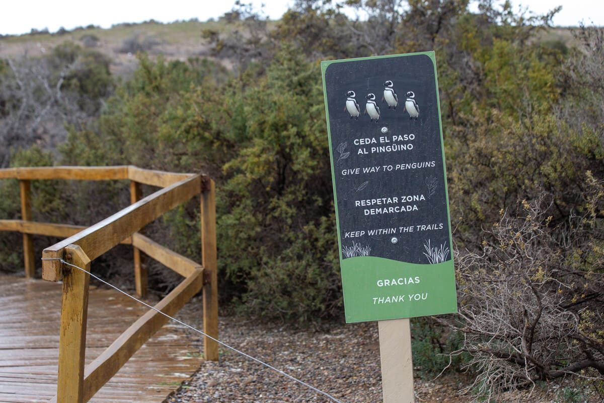 Punta Tombo, Puerto Madryn's Penguin Hub - solsalute.com